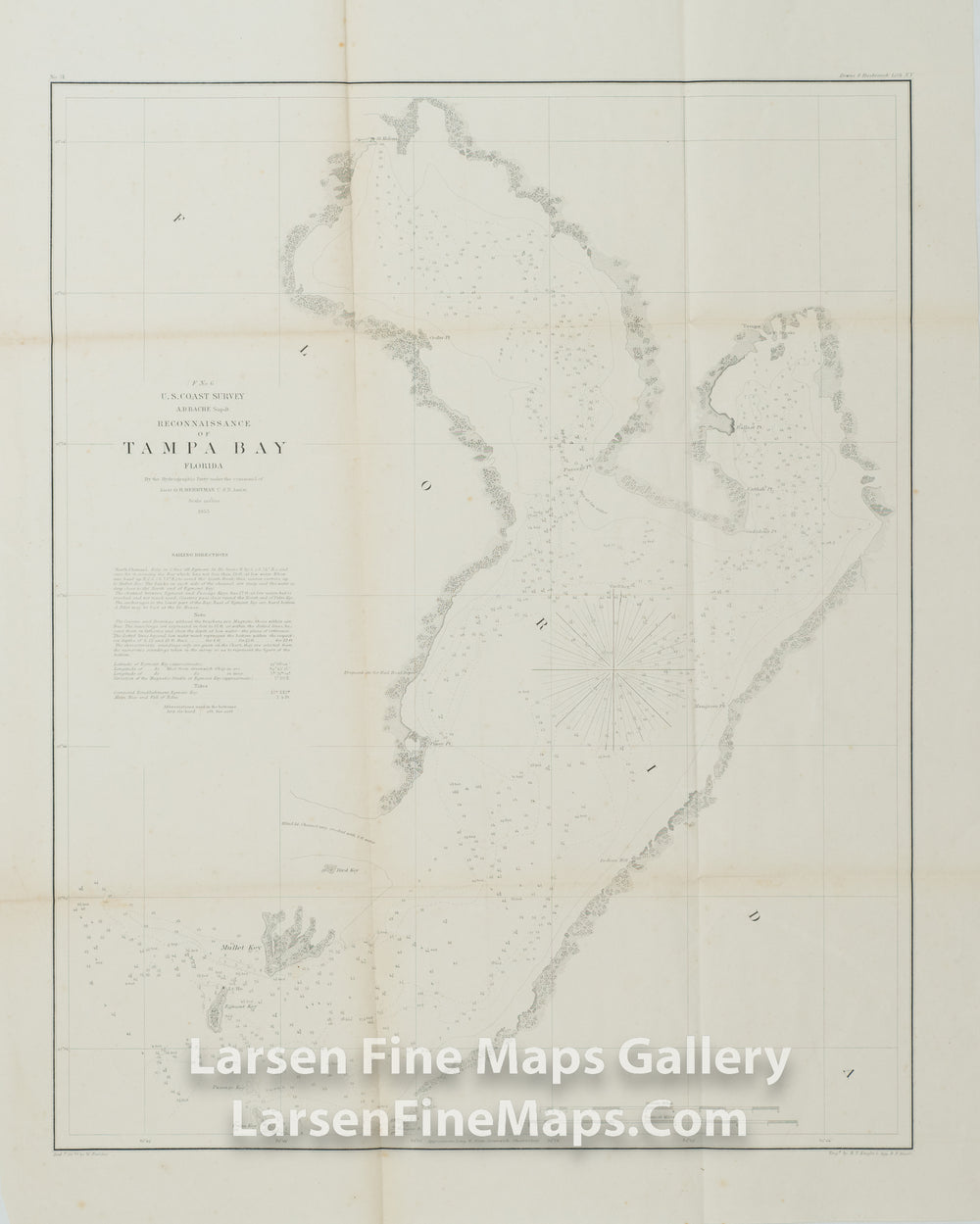 Reconnaissance of Tampa Bay, Florida